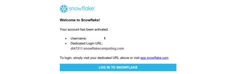 A Guide To Snowflake Odbc Connection Strings And Parameters