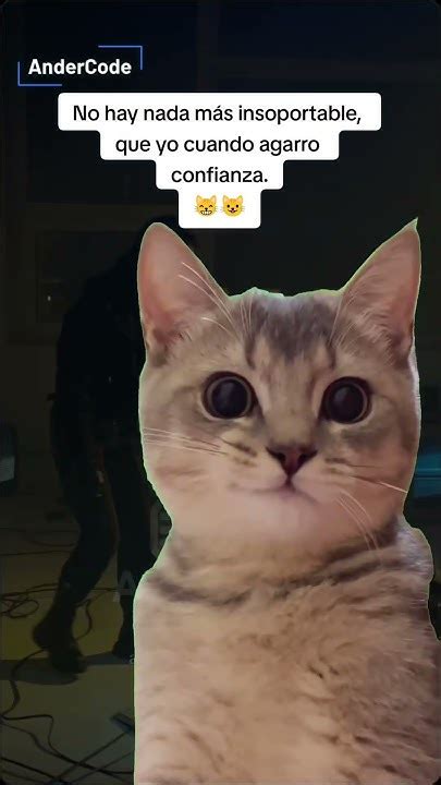 Meme Andercode Developer Programacion Python Novia Humor Esposa