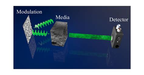 Orbital Angular Momentum Transmission In Complex Environments Using A Single Pixel Detector