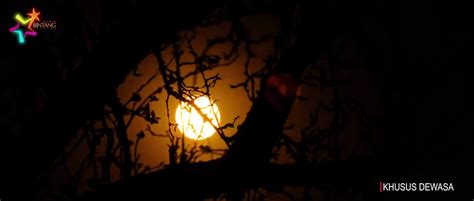 Film Kelas Bintang Mangga Muda Part 2 Eporner