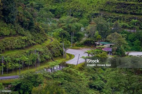 아름다운 산 곡선 도로 녹색 단풍이 있는 나무 숲을 가로지르는 빈 아스팔트 도로가 있는 풍경 언덕의 구불구불한 길 야외 여행 0
