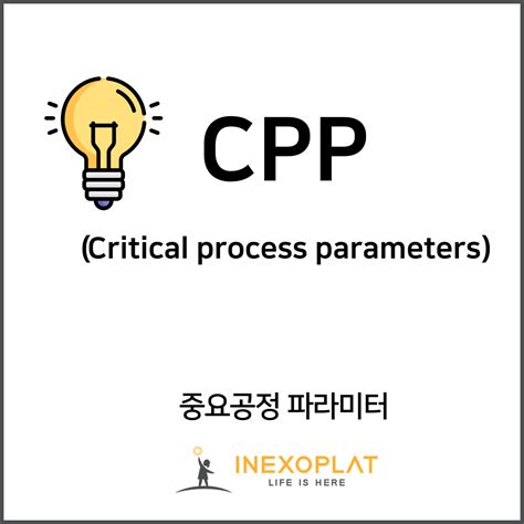 공정 개발 중요공정파라미터 Critical process parameters CPP INEXOPLAT 인엑소플랫