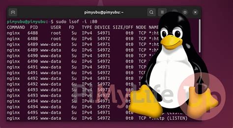 Find And Kill A Process Using A Port On Linux Pi My Life Up
