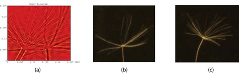 Compressive Holography Duke Information Spaces Project