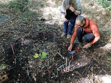 Boundary Detector Workshop Part 2 Antony Hall
