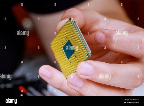 Process With Installed Of Connecting The CPU To The Processor Socket On A Modern Computer