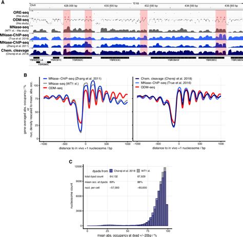 The Odm Seq Absolute Occupancy Map A Integrated Genome Viewer Igv