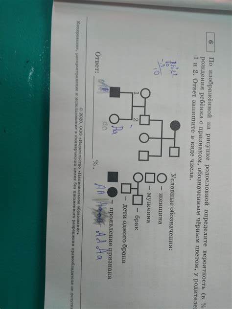 По изображённой на рисунке родословной определите вероятность в рождения ребёнка с признаком