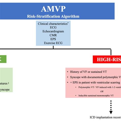 Proposed Risk Stratification Algorithm For Amvp Patients Amvp Download Scientific Diagram