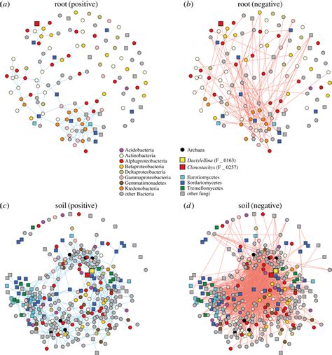 Microbemicrobe Co Abundance Networks A Positive Co Abundance Download Scientific Diagram