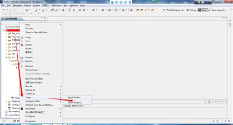 将myeclipse、eclipse中的项目导入到svn中 myeclipse 旧项目加入svn csdn博客