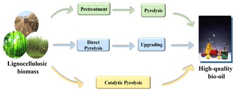 Current Challenges And Perspectives For Biomass Catalytic Pyrolysis