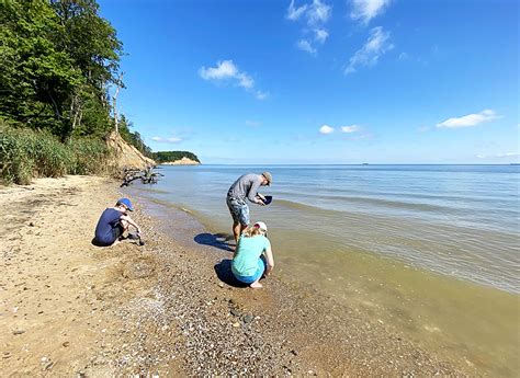 Calvert Cliffs State Park Fossil Hunting The Beckham Project