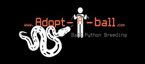 Trreptiles My Big Girl Fire Yb Het Pied Sitting At Around 1200 Grams How Awesome Is That