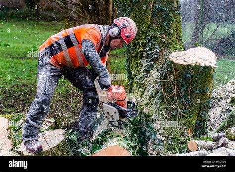 Man Cutting Tree High Resolution Stock Photography And Images Alamy