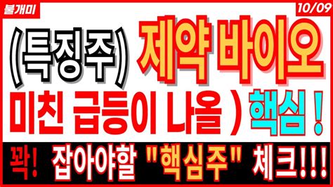 특징주 제약바이오 미친 급등이 나올 핵심 핵심 수혜주 테마주 급등주 주식추천 추천주 금투세 제약바이오 관련주 비만치료제 관련주 주가전망 목표가