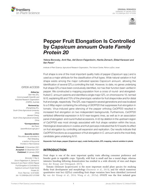 Pdf Pepper Fruit Elongation Is Controlled By Capsicum Annuum Ovate