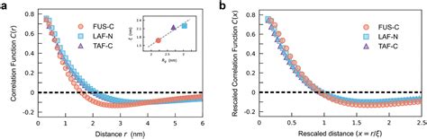 Scale‐free Spatio‐temporal Correlations In Conformational Fluctuations Of Intrinsically