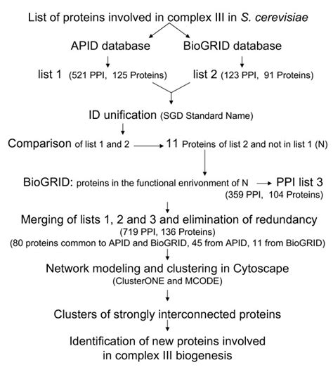 computational workflow an overview of the network modelling and