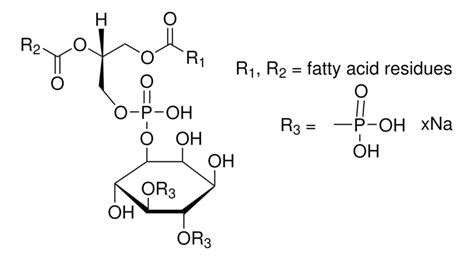 Phosphatidylinositol 4 5 Bisphosphate
