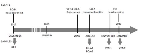 timeline of the sampling procedures download scientific diagram