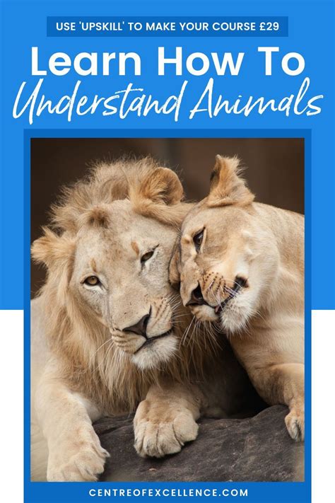 Ethology Diploma Course Artofit