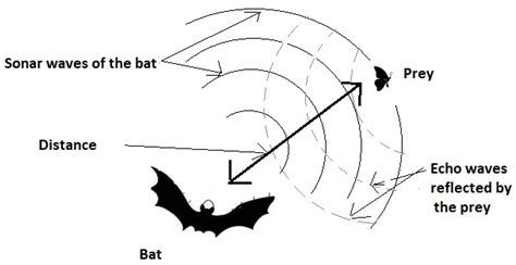 bdcc free full text an intelligent bat algorithm for web service