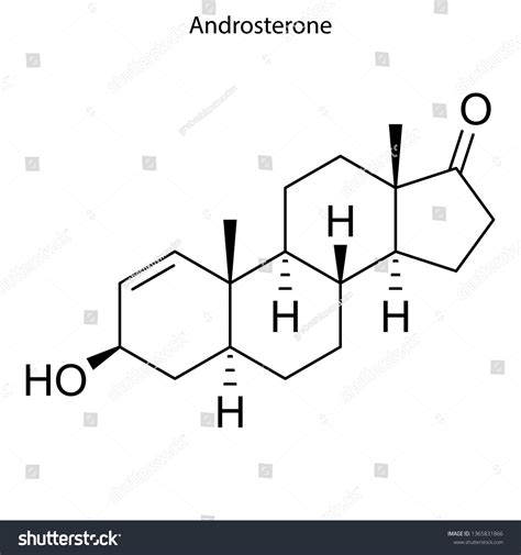 Skeletal Formula Androsterone Steroid Molecule Stock Vector Royalty