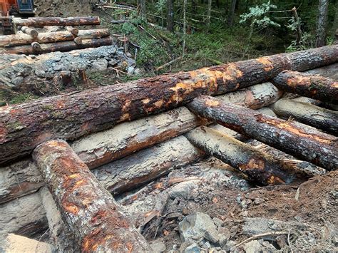 Stonecroft Bridge Repairs And Crib Building Campbell River
