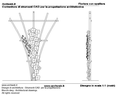 Trees Planting Plan With A Detail Dwg File Cadbull