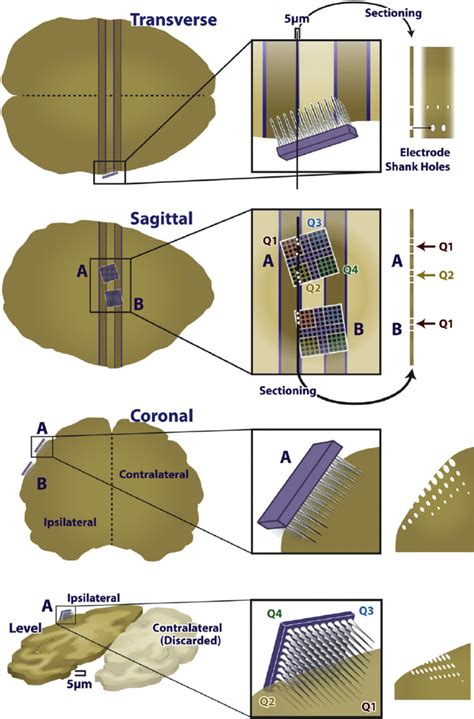 Diagram Of The Reconstruction Approach Example Two Dimensional Image