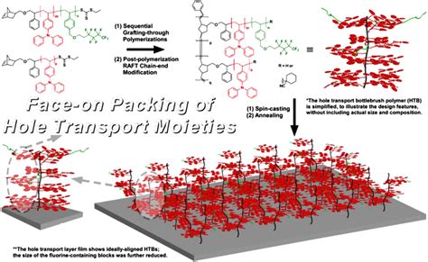 Schematic Diagram Of The Topological Design Of Highly Anisotropic Download Scientific Diagram