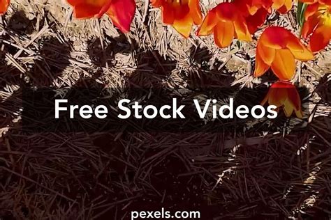 Mismatched Patterns Videos Download The Best Free 4k Stock Video Footage And Mismatched Patterns