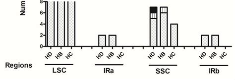 analysis of simple sequence repeats ssrs in the six categories of