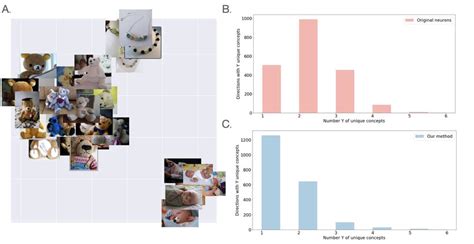 a umap of the images maximally activating a polysemantic singular