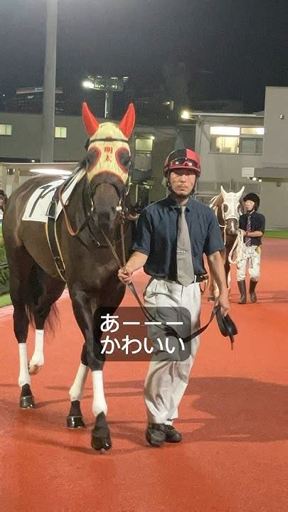 メンタイマヨに会った日。kaldiのメンタイマオススメです。 メンタイマヨ 競馬 川崎競馬場 川崎競馬 馬 競馬好きな人と繋がりたい