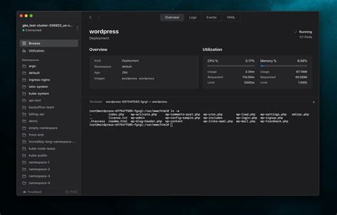 Container Shell Access Infra App Docs
