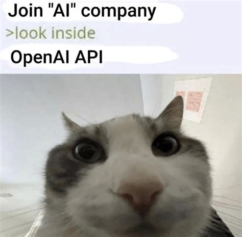 50 Funniest Coding Memes For Programmers Staying Up All Night Squashing