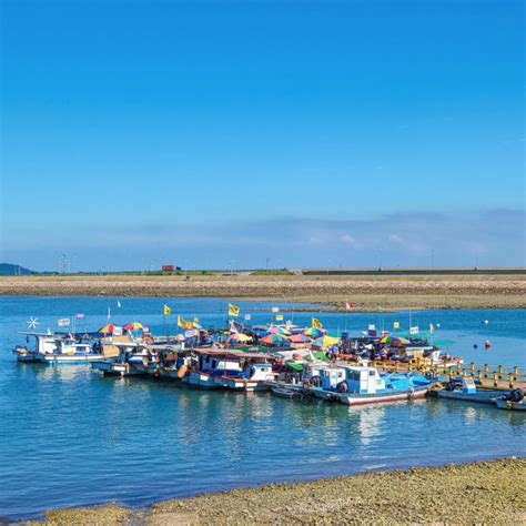 서산 삼길포항 회뜨는선상 선상어시장 길성호 정찰제 시세는 이색 수산시장 네이버 블로그