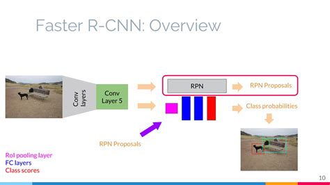 Faster R Cnn Towards Real Time Object Detection With Region Proposal Networks Upc Reading