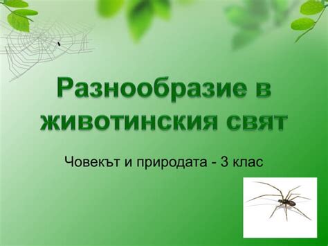 Твърди тела течности и газове ЧП 3 клас Булвест Pptx