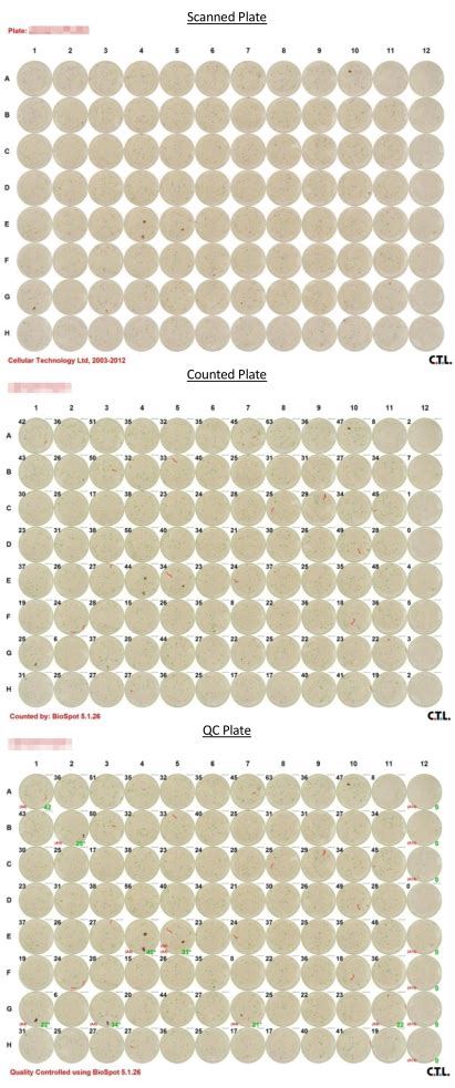 Virus Propagation And Cell Based Colorimetric Quantification Scientific Article Protocol Jove