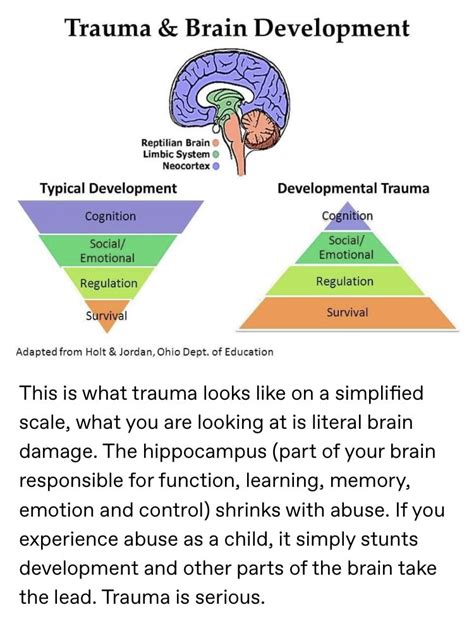 How Trauma Can Impact Four Types Of Memory Infographic Artofit