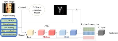 Illustration Of The Proposed Saliency Maps Cnn Based Fer Strategy The Download Scientific