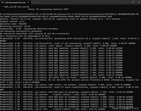 Gis遥感专栏03：sentinel 2影像获取及处理流程哨兵影像 Csdn博客