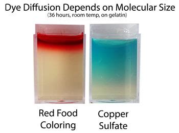 Food Coloring In Water Diffusion
