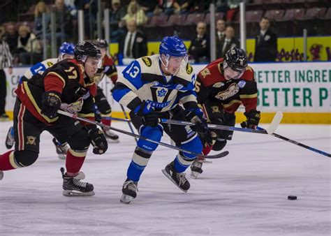 3 Fighting Hawks Recruits Have Taken Different Paths Could Be Selected