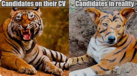 Meenakshi Dakshinamoorthy On Linkedin Resumeinflation Hr Jobseekers