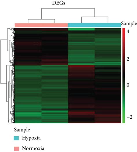 identification of degs and decircrnas in nsclc cells a volcano plots