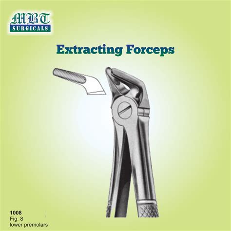 Premium Lower Premolar Forceps Fig 8 Extracting Instrument